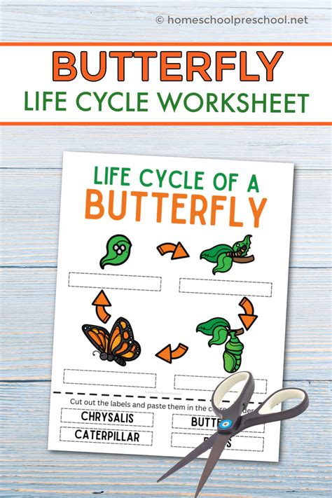 Free Cut And Paste Butterfly Life Cycle Worksheet For Preschoolers