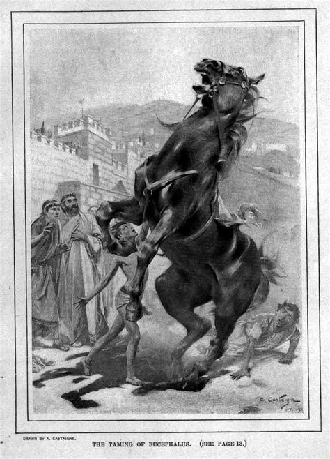 Alexandre domptant le grand Bucéphale
