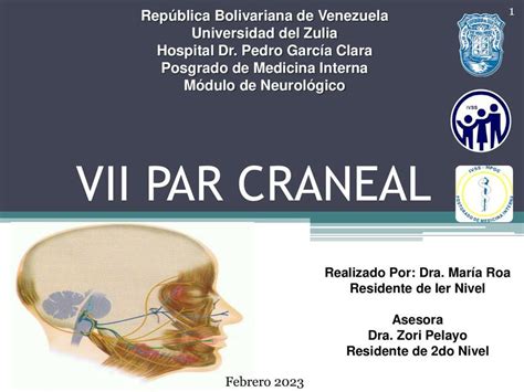VII Par Craneal Maria Barret UDocz