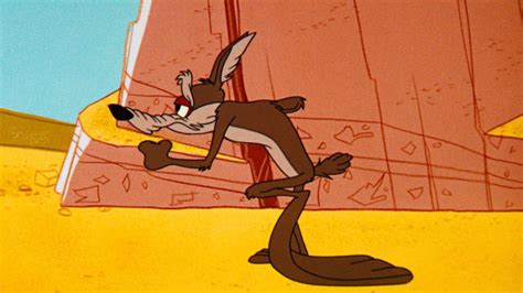 100 Wile E Coyote Wallpaper KOSTENLOS Wallpapers