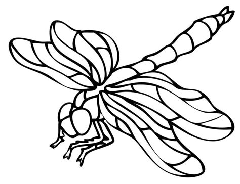 Coloriage Une Libellule télécharger et imprimer gratuit sur