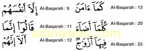 Detail Contoh Mad Wajib Muttasil Dalam Surah Al Baqarah Koleksi Nomer 7