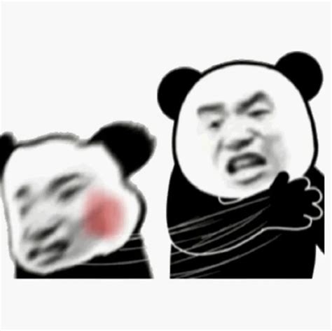 Chinese Meme Chinese Panda Silly Images Funny Images Funny Profile