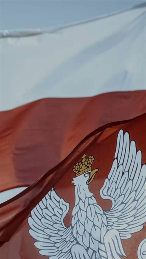 Terytorialsi Zawsze Gotowi Zawsze Blisko On Twitter Dzi