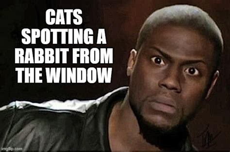 Kevin Hart Meme Imgflip