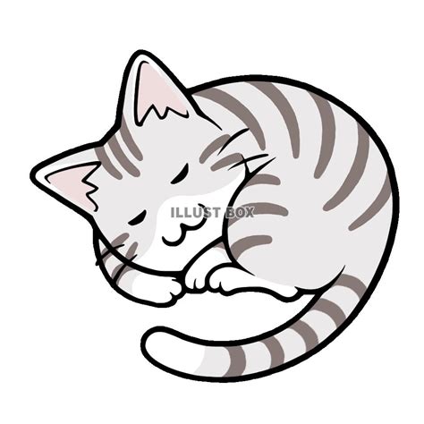 無料イラスト 丸くなって寝る猫 サバ白猫
