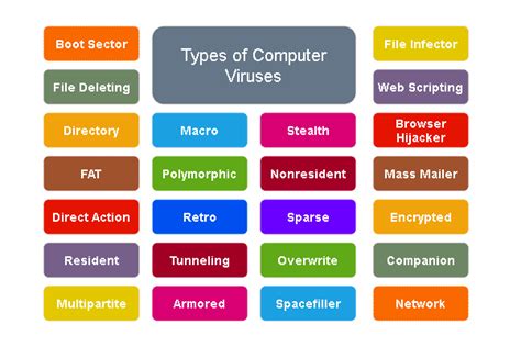 Different Types Of Computer Virus Tutorialsmate