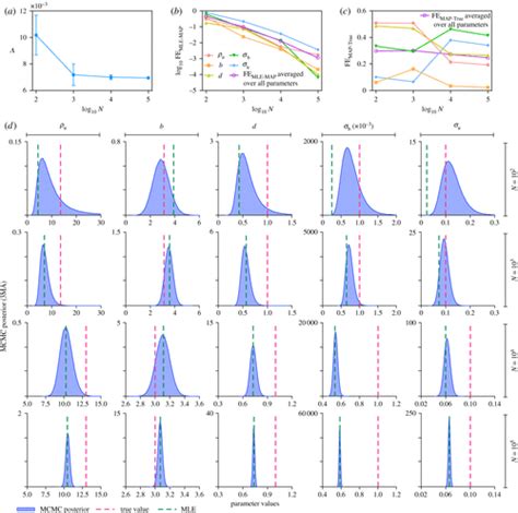 accuracy of parameter estimation for auto regulatory transcriptional feedback loops from noisy