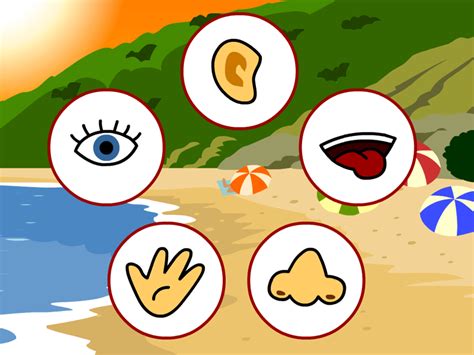 Five Senses Taste Clip Art Library
