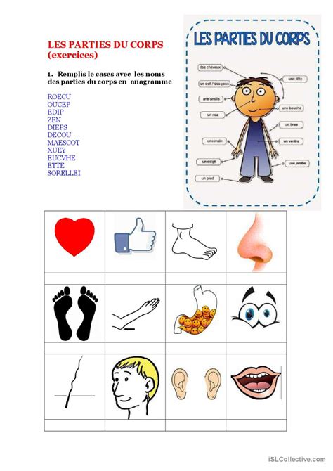 Les parties du corps pratique du vo Français FLE fiches pedagogiques