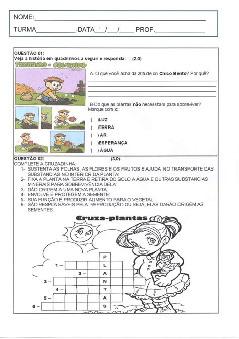 Atividade Sobre Seres Vivos 2 Ano