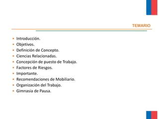 Ergonomia Básica y conceptos basicos pptx