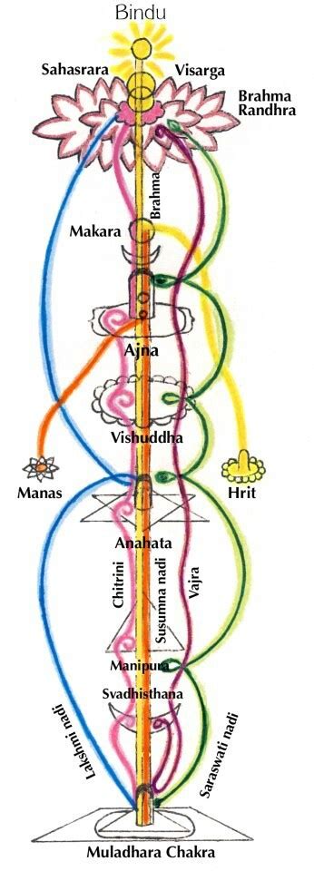 Energy Flow And Chakras Kundalini Kundalini Yoga Chakra Meditation