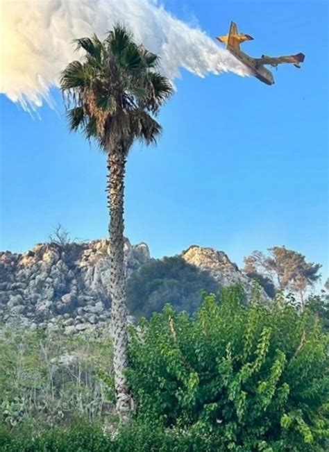 Santa Cesarea Terme Vasto Incendio Di Vegetazione Evacuate Alcune