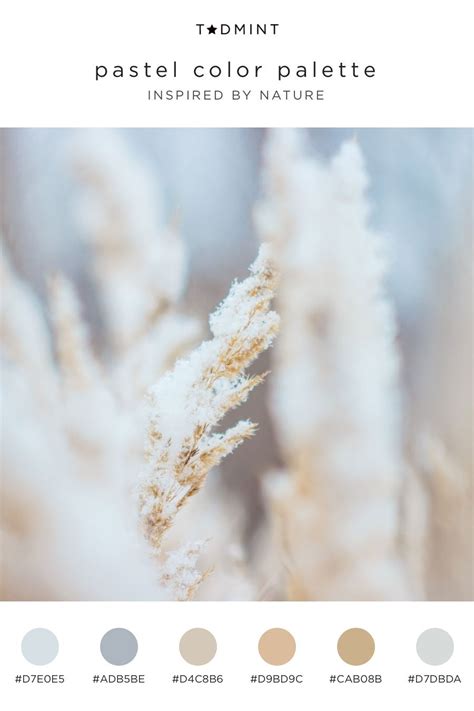 8 Pastel Color Palettes Inspired By Nature TADMINT Design Resource