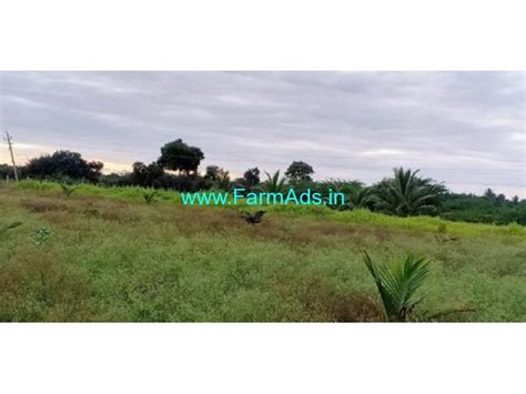 4 Acres Agriculture Land For Sale In Sira Tumkur FarmAds In