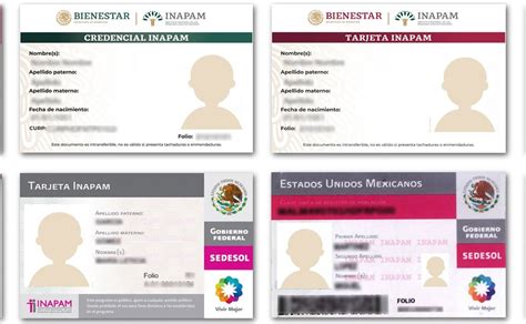 Credencial Inapam Es Una Identificaci N Oficial