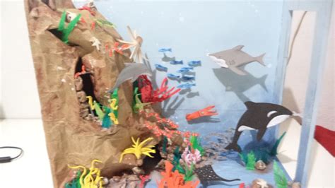 Ecosistema Marino Maqueta Youtube