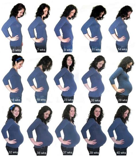 Những lợi ích đáng biết của hình ảnh bụng bầu qua các tháng