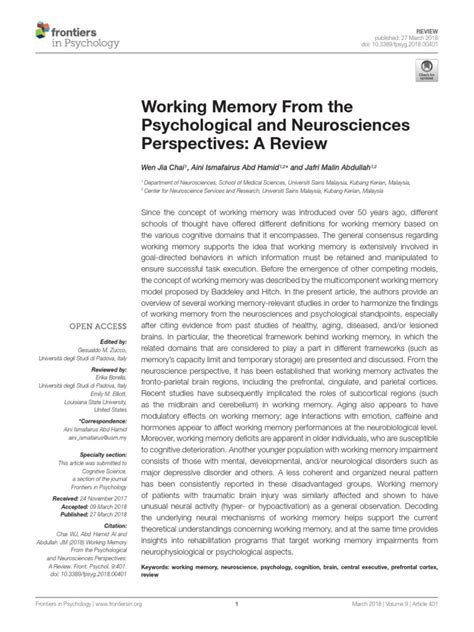 working memory pdf working memory dorsolateral prefrontal cortex