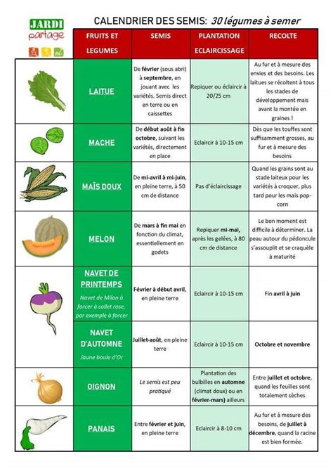 Calendrier des semis 30 légumes à semer Jardipartage