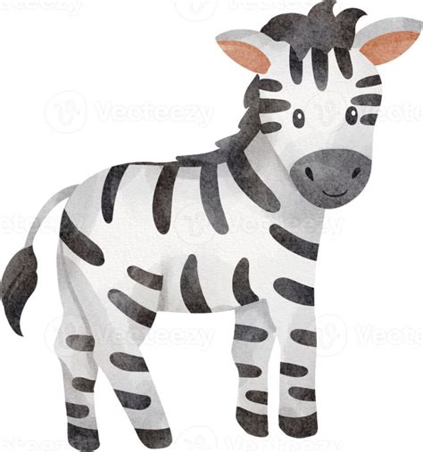 Aquarela De Zebra Fofa Fofa Aquarela Ilustra Es