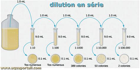Murmeln Gyptisch Alaska Calcul Facteur De Dilution Feind Temperatur Absay