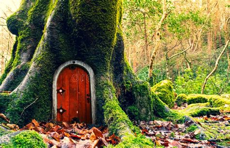 Casa De Fantasía De Cuento De Hadas En Tronco De árbol En El Bosque