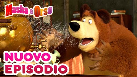 Masha E Orso Nuovo Episodio Collezione Di Episodi Cartoni