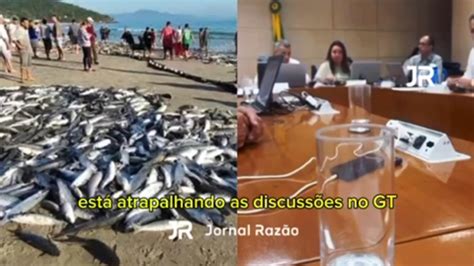Governo Lula Manda Encerrar Modalidade Da Pesca Da Tainha Em SC Santa