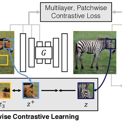 patchwise contrastive loss both images x andˆyandˆ andˆy are encoded download scientific