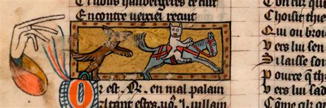Le Roman De Renart Bnf Essentiels