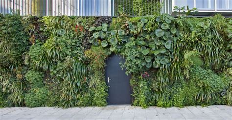 Jardines verticales 9 Pasos cómo hacer un jardín vertical en casa y