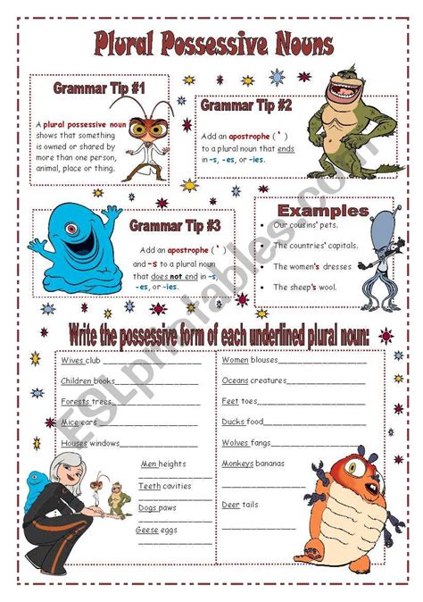 Plural And Possessive Nouns Worksheet