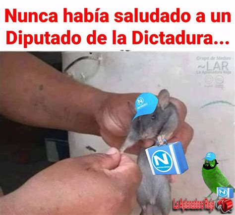 El Salvador Sin Miedos On Twitter Rt Salvadors Sigan Votando Por