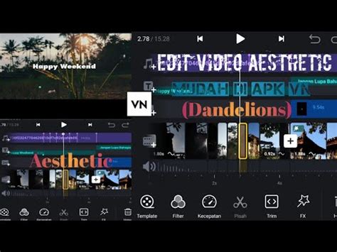 Tutorial Edit Video Aesthetic Dandelions Mudah Di Apk VN Viral YouTube