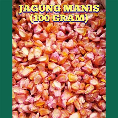 Jual Benih Biji Jagung Manis Unggul 100 Gram Shopee Indonesia