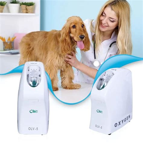 Concentratore Di Ossigeno Veterinario OLV 5 Zhengzhou Olive
