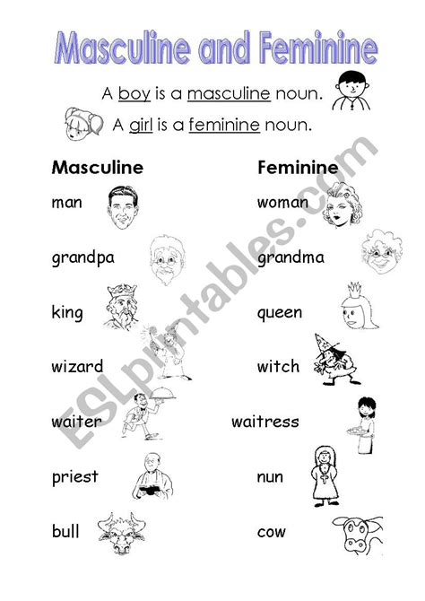 Masculine And Feminine ESL Worksheet By Davandra