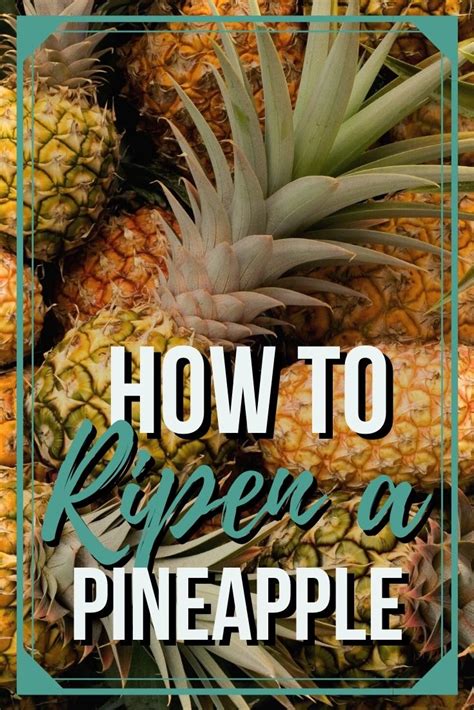 3 Best Ways To Ripen A Pineapple Updated 2024