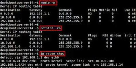 Cómo saber si tengo una IP fija o dinámica Haras Dadinco