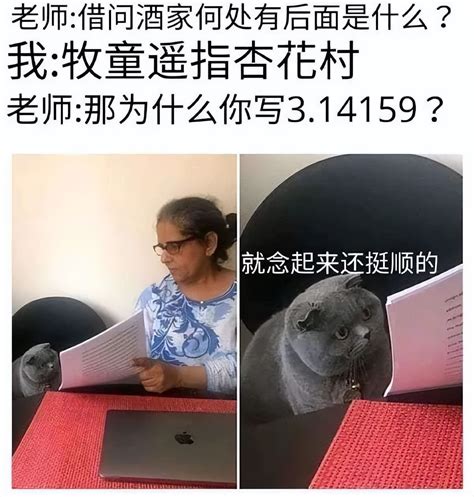 自挂东南枝这个梗 每日一笑别跟我抢这题我也会答 说明书网