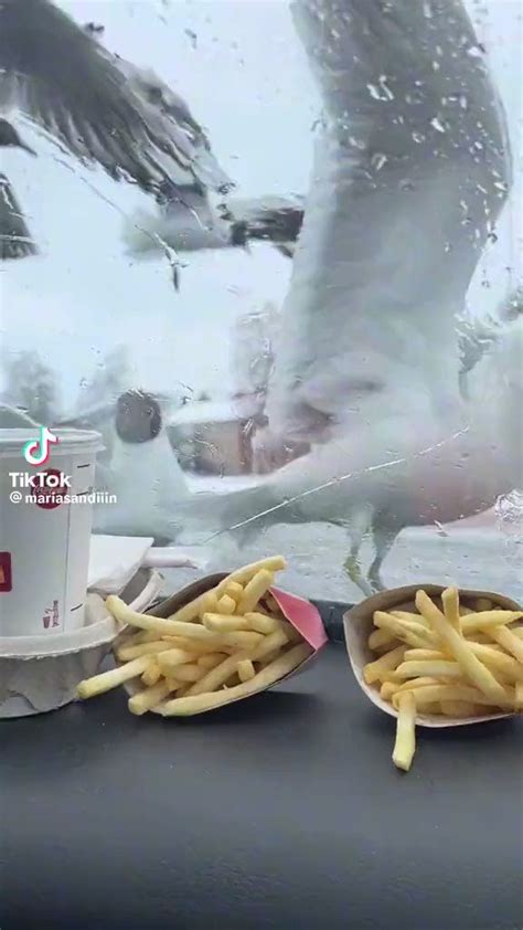 Kellyoso On Twitter RT Fuckedupfoods Fuckin Idiots Lol