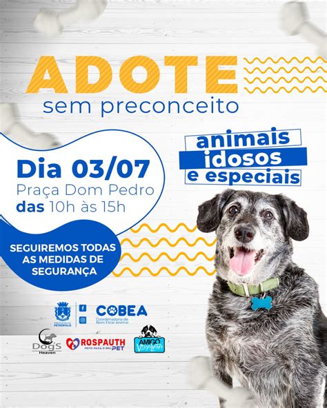 Adote sem preconceito Campanha incentiva adoção de animais especiais e