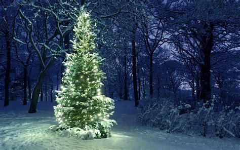 Fondos de Pantalla 1920x1200 Año Nuevo Luces de hadas Nieve Árbol de
