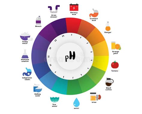 El Diagrama De Carta Universal De Color Del Indicador PH De La Escala