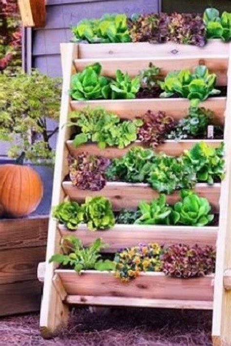 23 Container Vegetable Garden Layout Ideas For This Year SharonSable