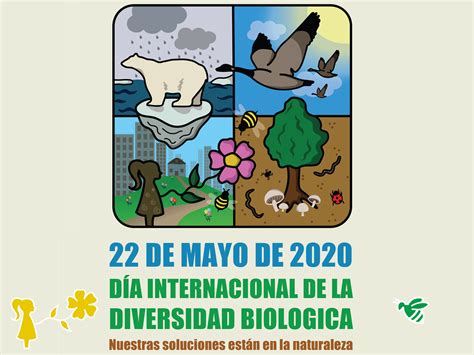 Área de Medio Ambiente de UGTCyL Día Internacional de la Diversidad