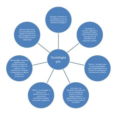 Relacion De La Sociologia Con Otras Ciencias Ayuda Porfa Brainly Lat