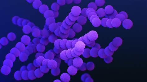 La bacteria come carne existe qué es y cómo puedes prevenirla